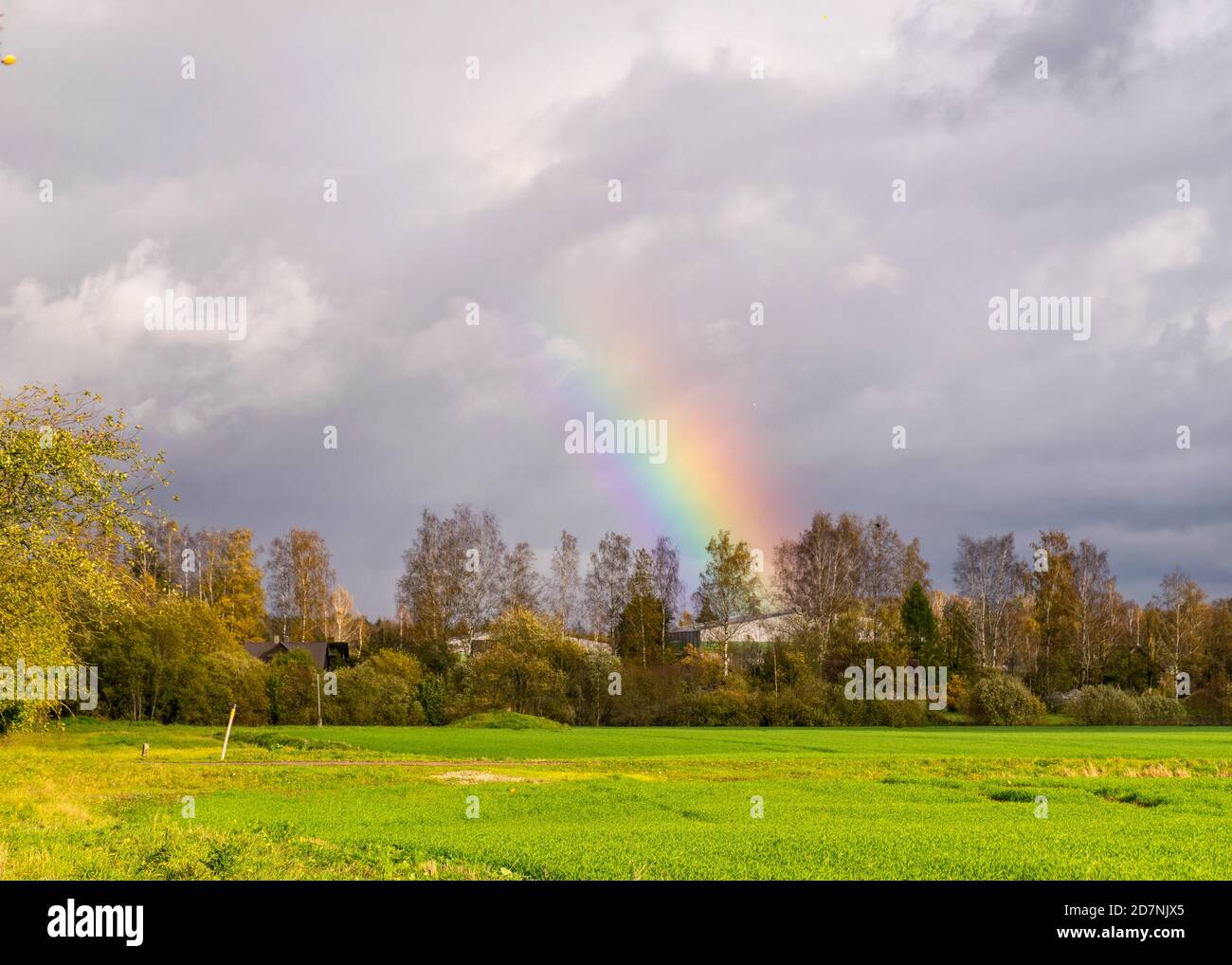 autumn landscape with a rainbow over beautiful colorful trees, golden ...