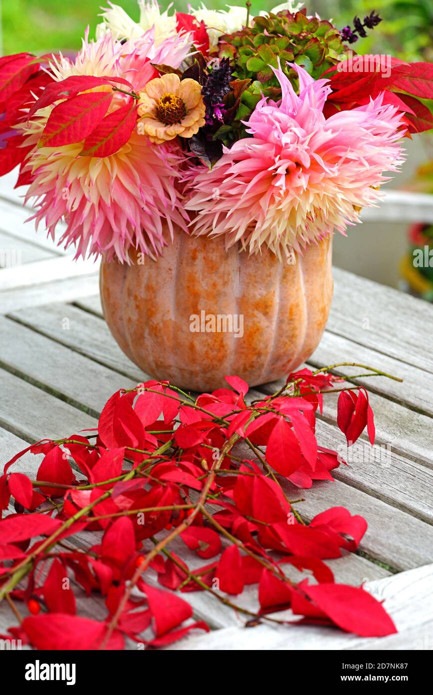 Fall floral arrangement with dahlia, hydrangea and burning bush in a ...
