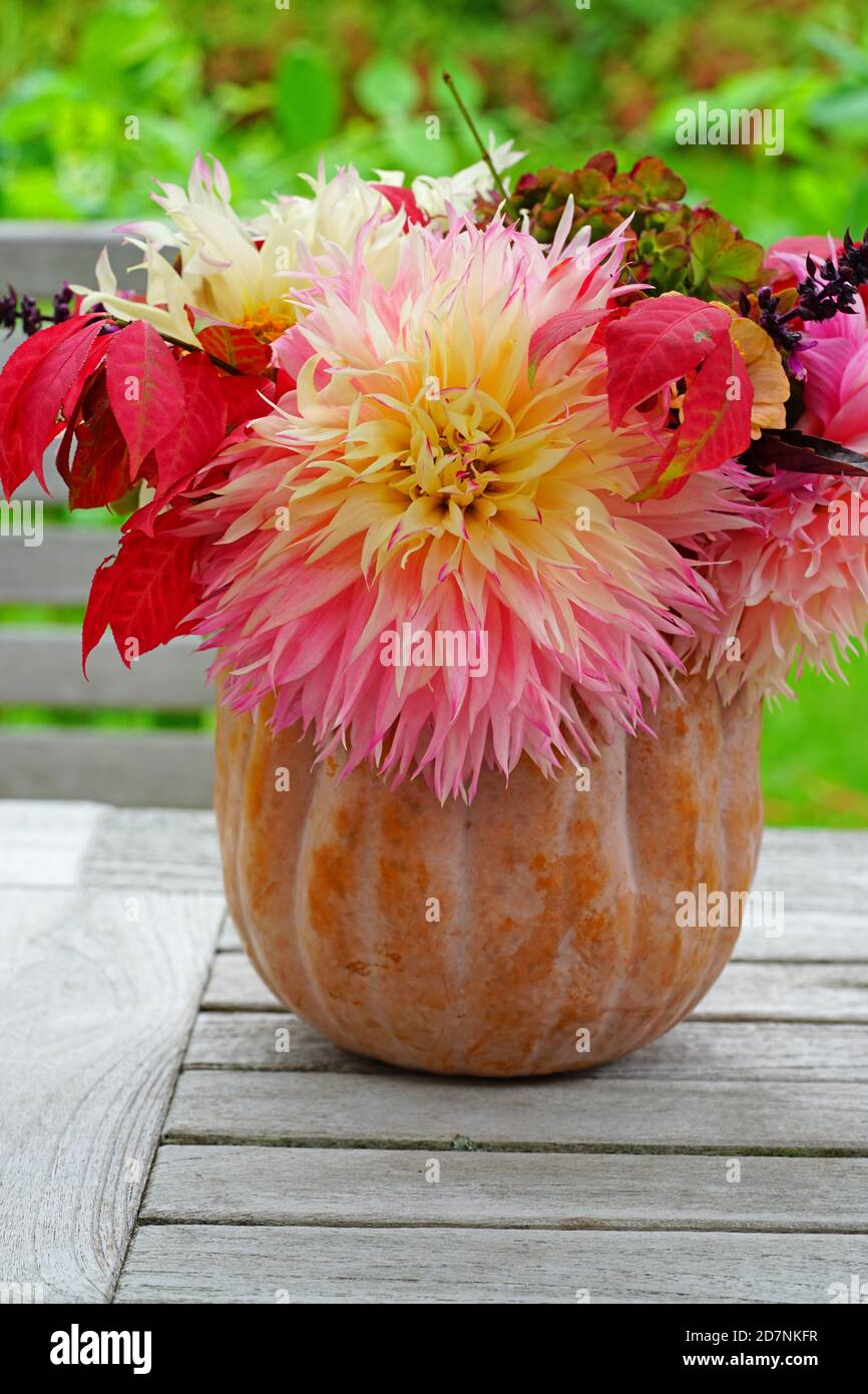 Fall floral arrangement with dahlia, hydrangea and burning bush in a ...