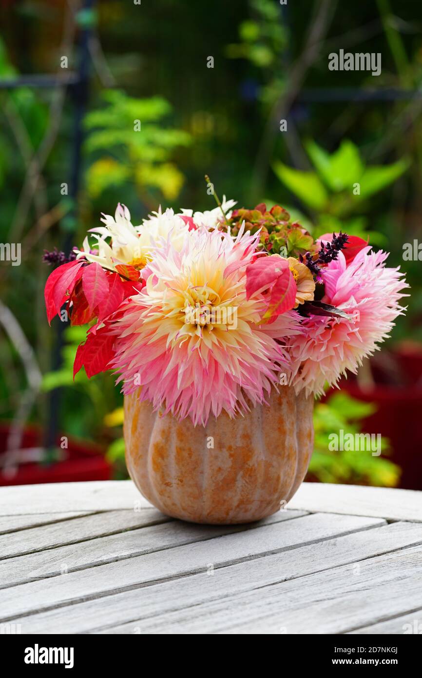 Fall floral arrangement with dahlia, hydrangea and burning bush in a ...
