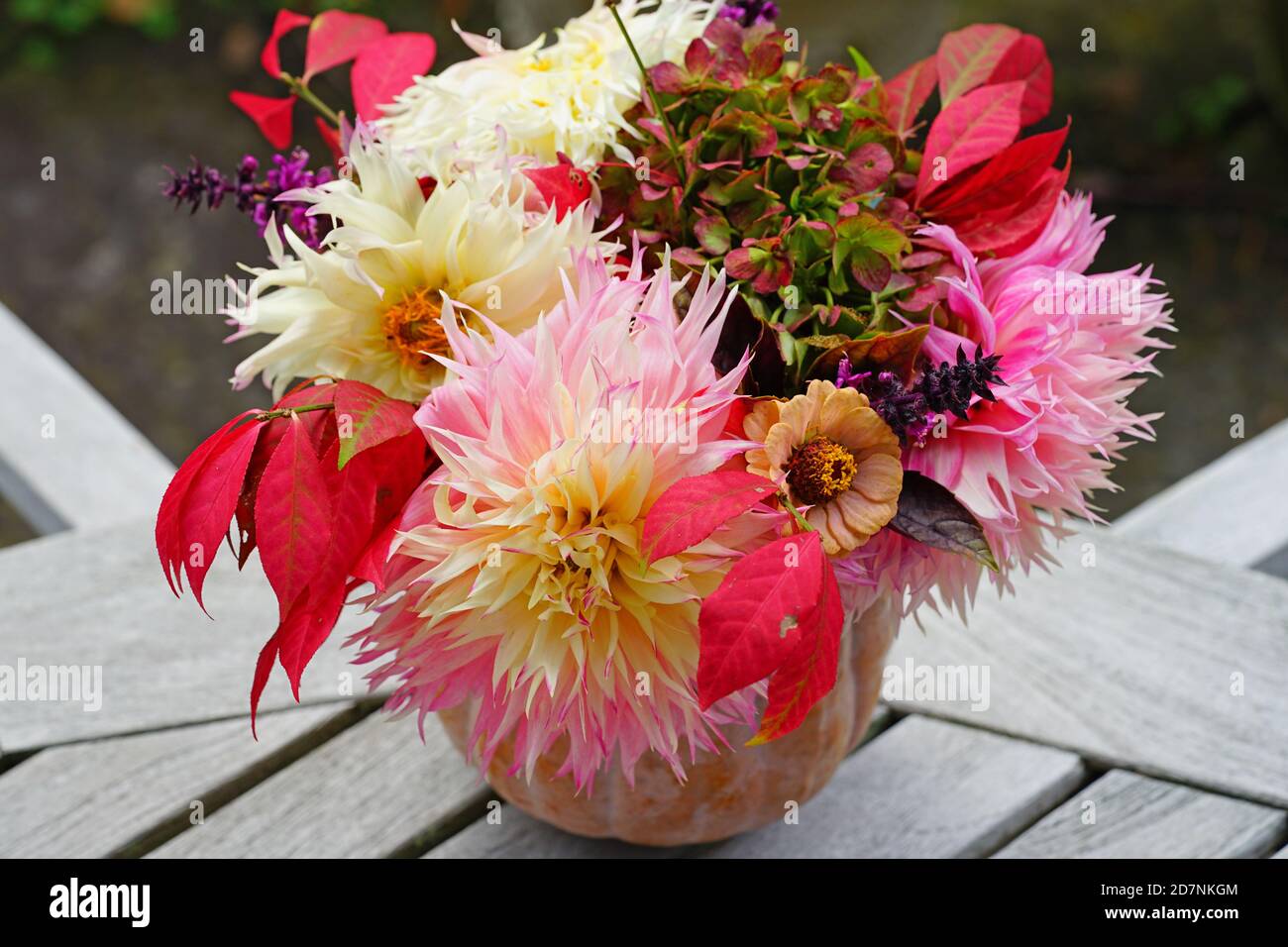 Fall floral arrangement with dahlia, hydrangea and burning bush in a ...