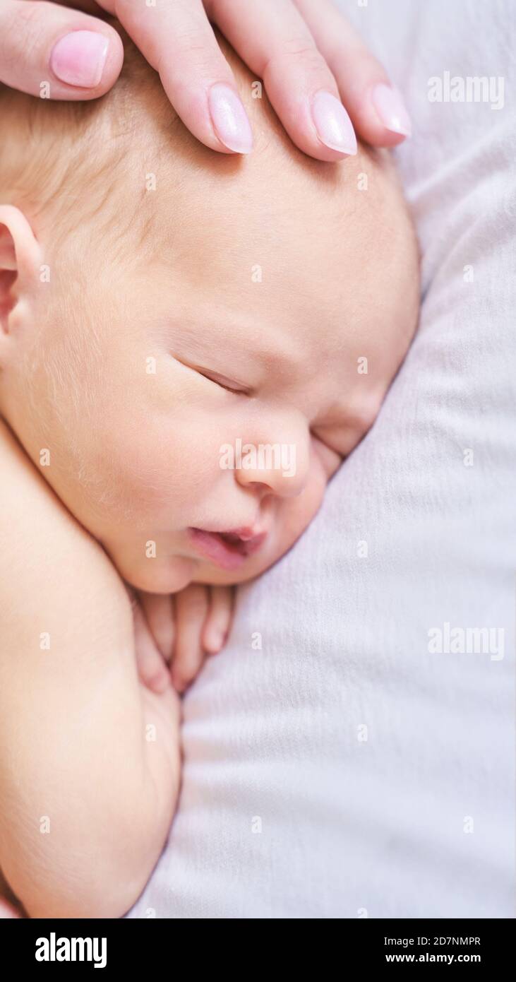 Newborn tiny head. Mother touch little people. Healthcare concept Stock ...