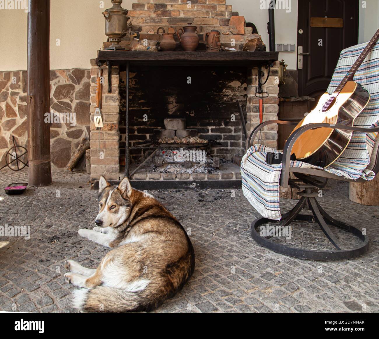 A husky dog is lying on the street in a cozy home atmosphere. concept ...