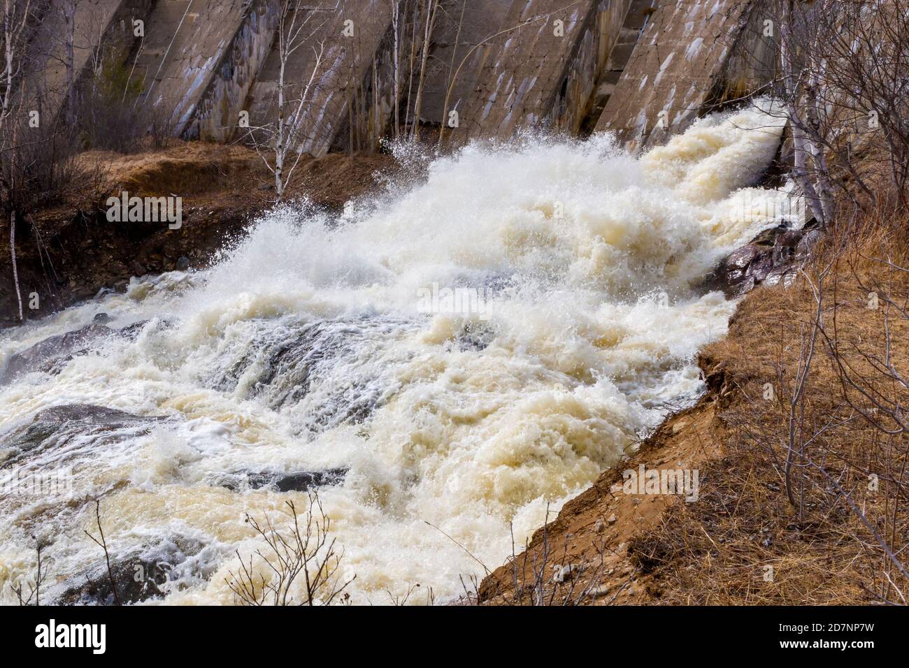 Water gushing from the bottom os a concrete dam. The water flows ...