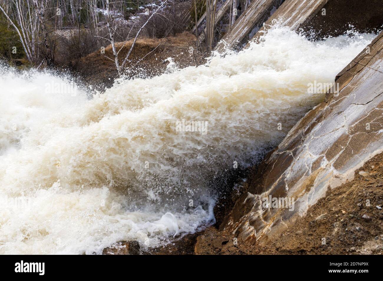 Water gushing from the bottom os a concrete dam. The water flows ...