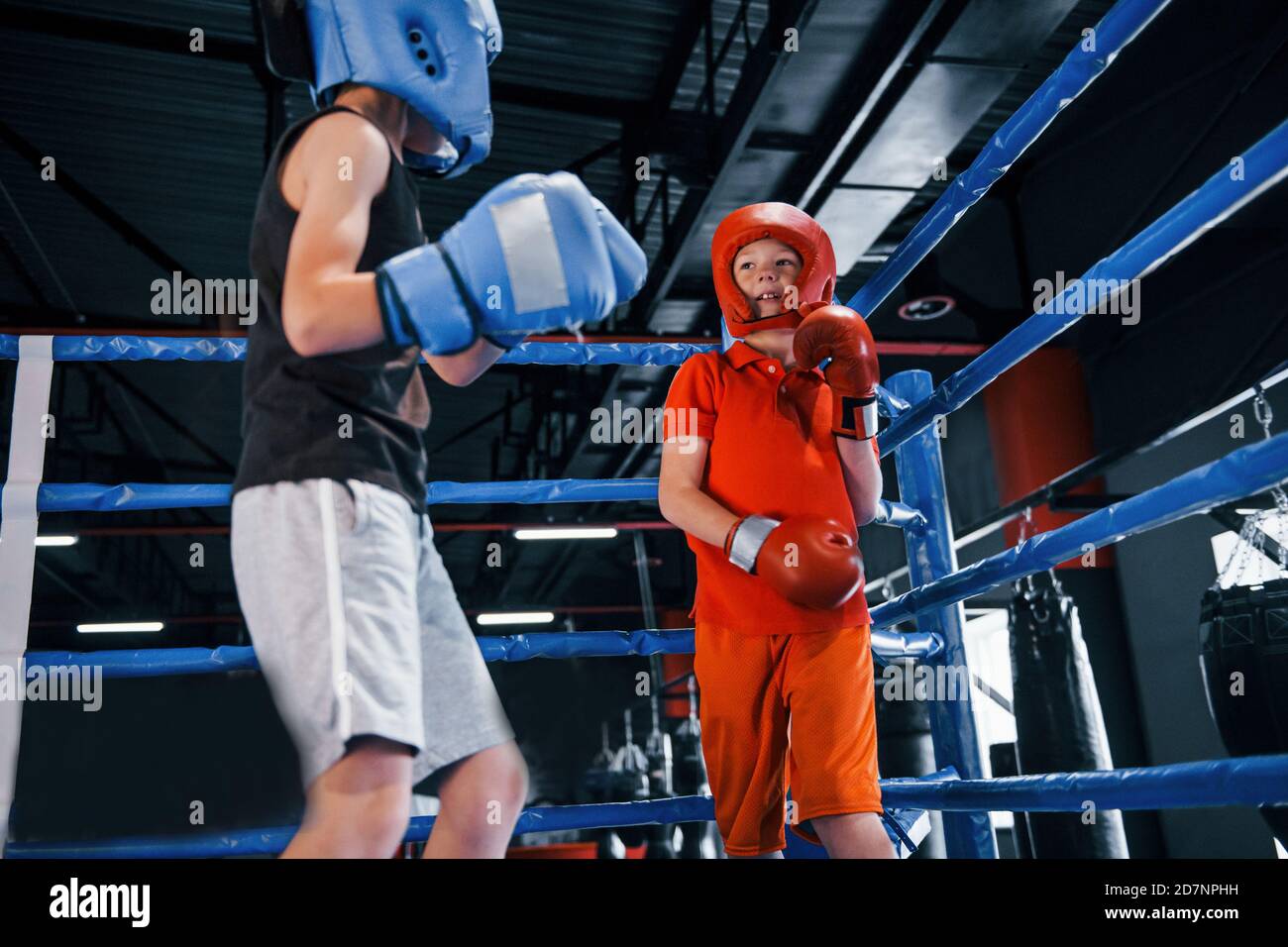 Two boys in protective equipment have sparring and fighting on the ...