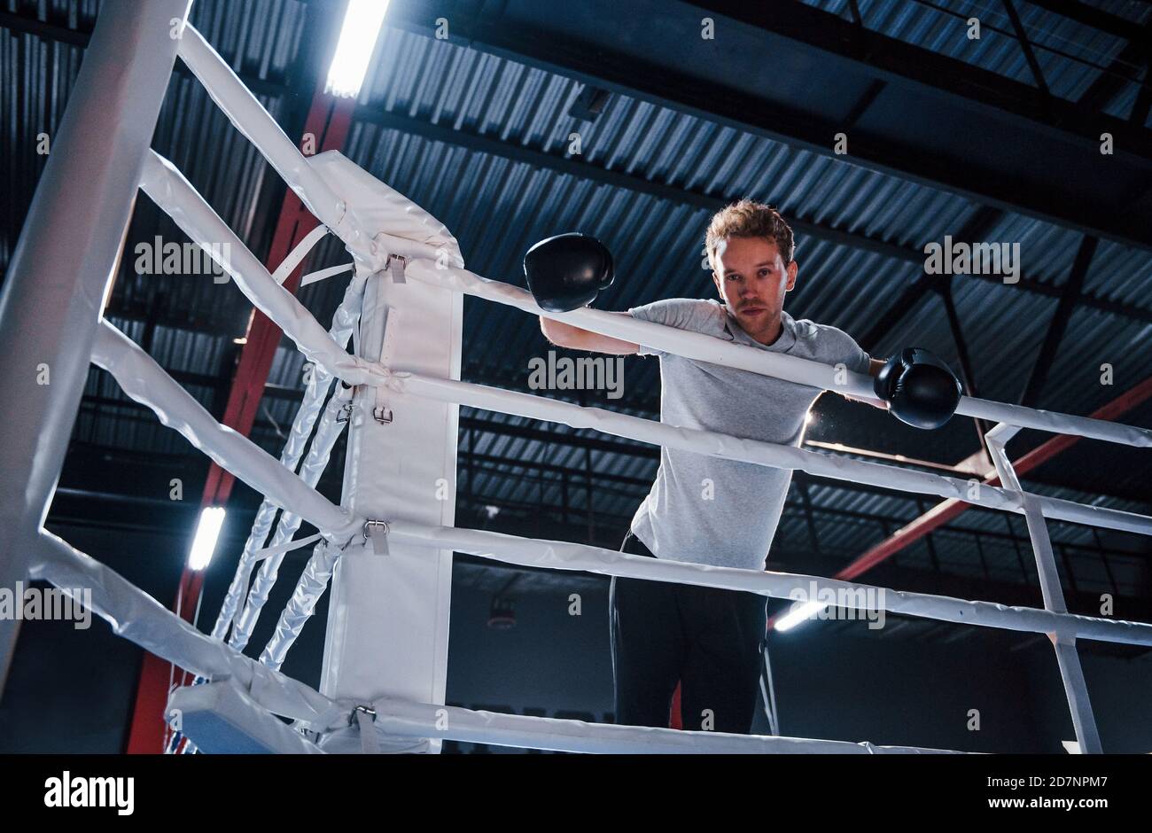 Portrait of map in grey shirt and in protective gloves leaning on the ...