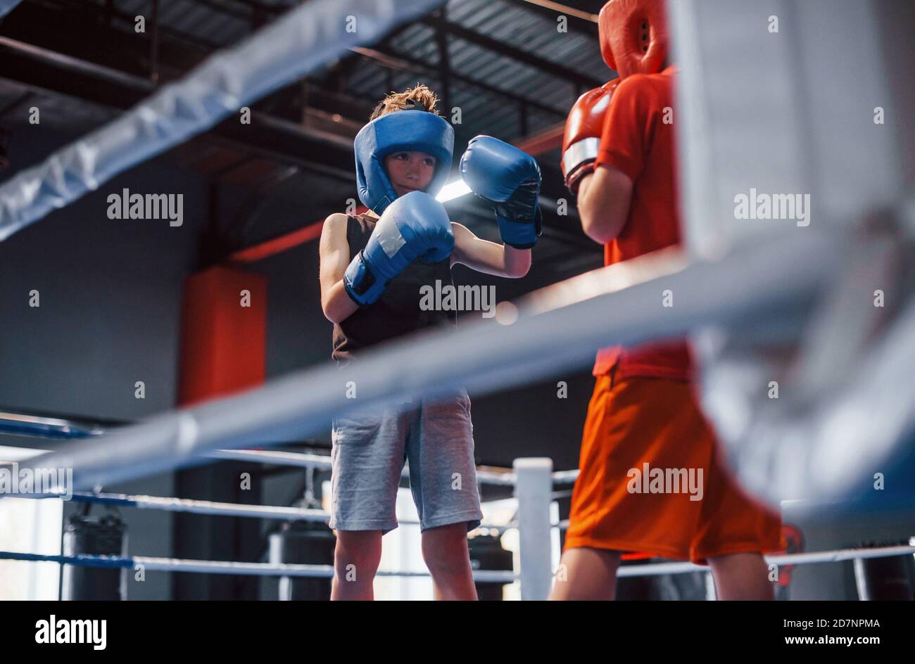 Two boys in protective equipment have sparring and fighting on the ...