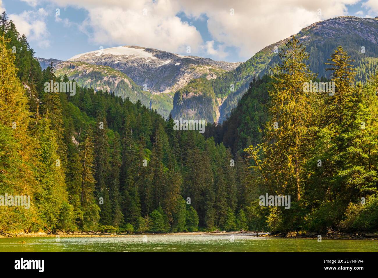 Great Bear Rainforest British Columbia Stock Photo - Alamy