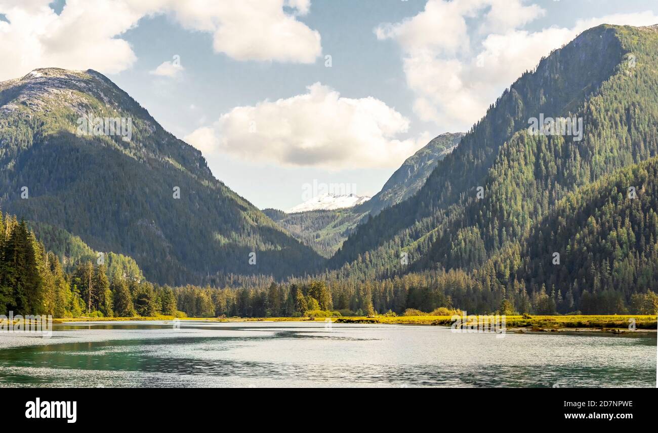 Coastal temperate rainforest canada hi-res stock photography and images ...