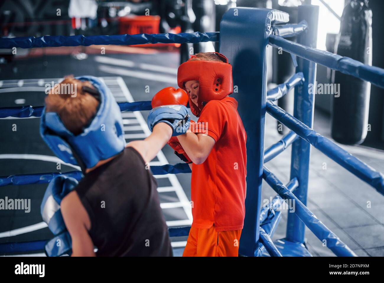 Two boys in protective equipment have sparring and fighting on the ...