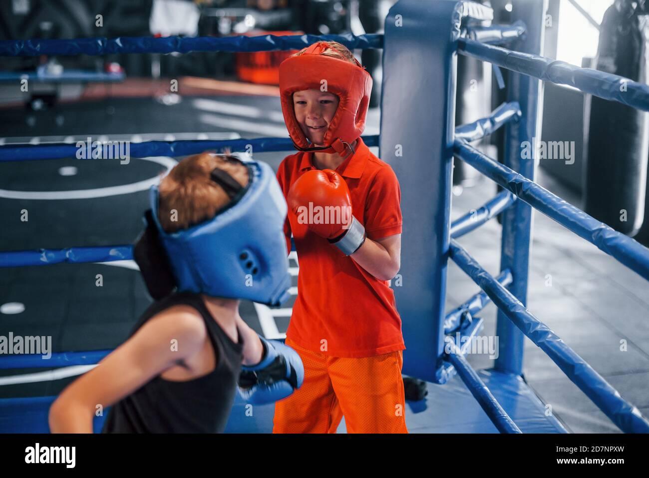 Two boys in protective equipment have sparring and fighting on the ...