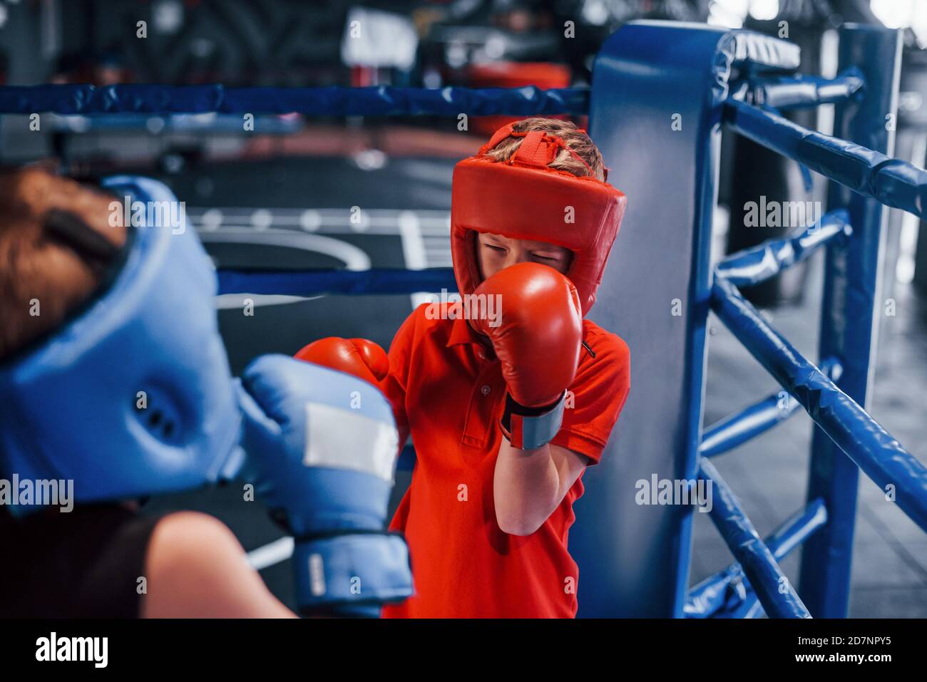 Two boys in protective equipment have sparring and fighting on the ...
