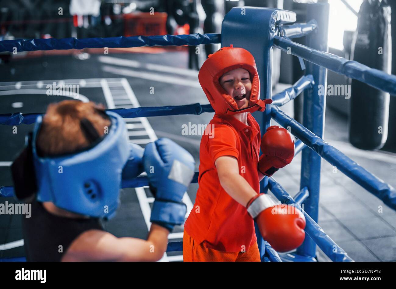 Two boys in protective equipment have sparring and fighting on the ...