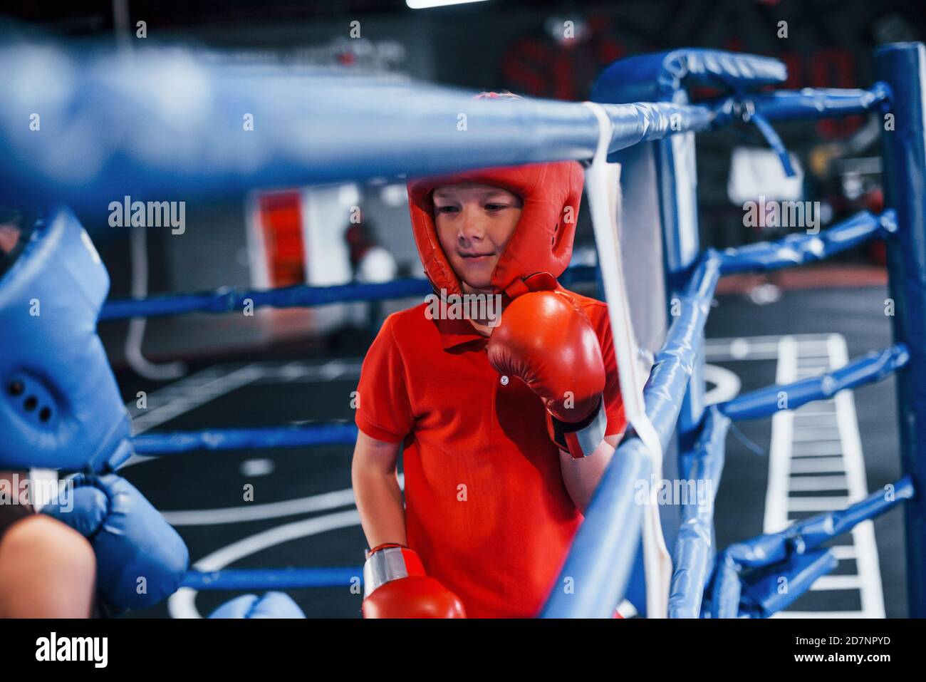 Two boys in protective equipment have sparring and fighting on the ...