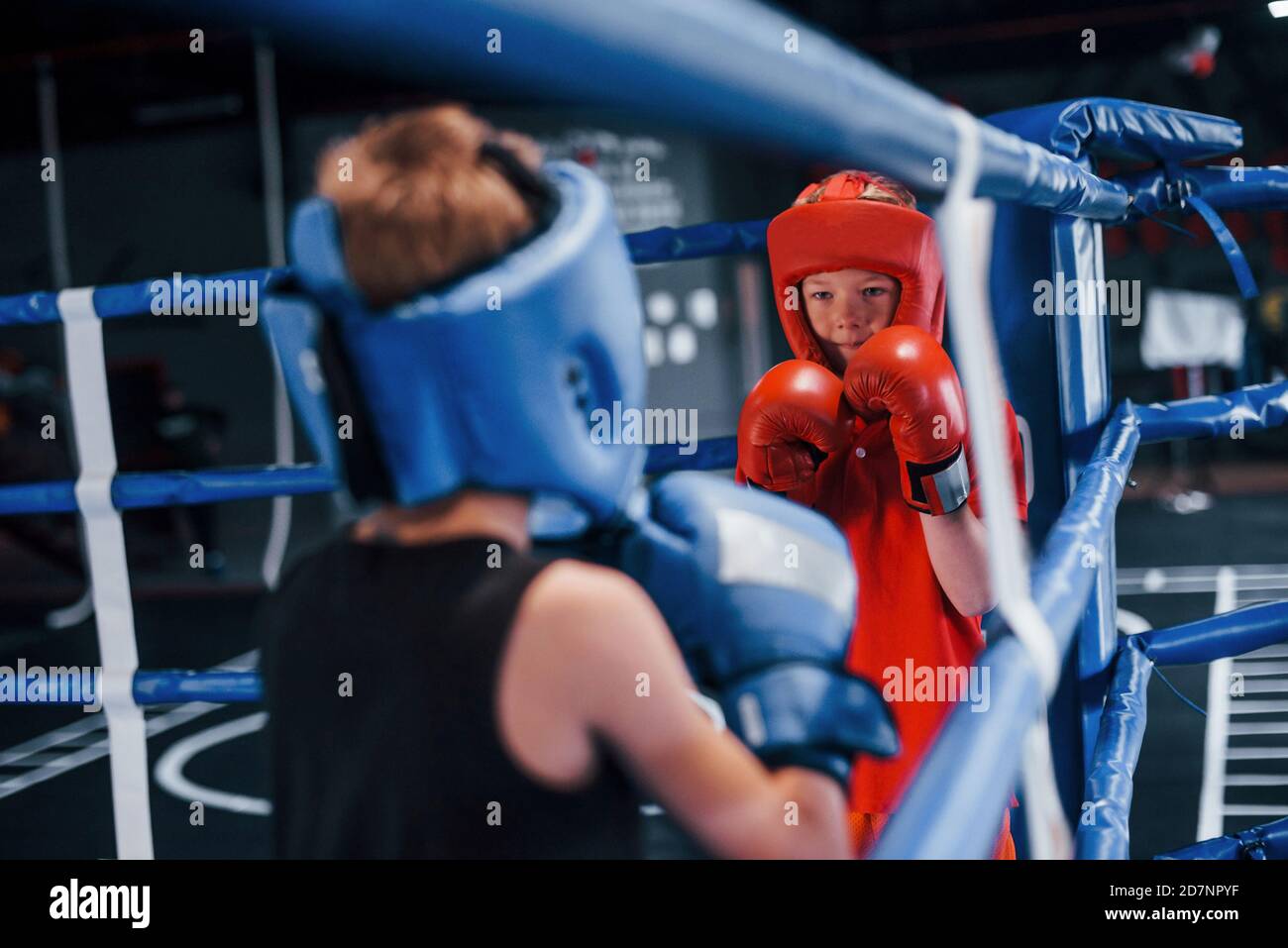 Two boys in protective equipment have sparring and fighting on the ...