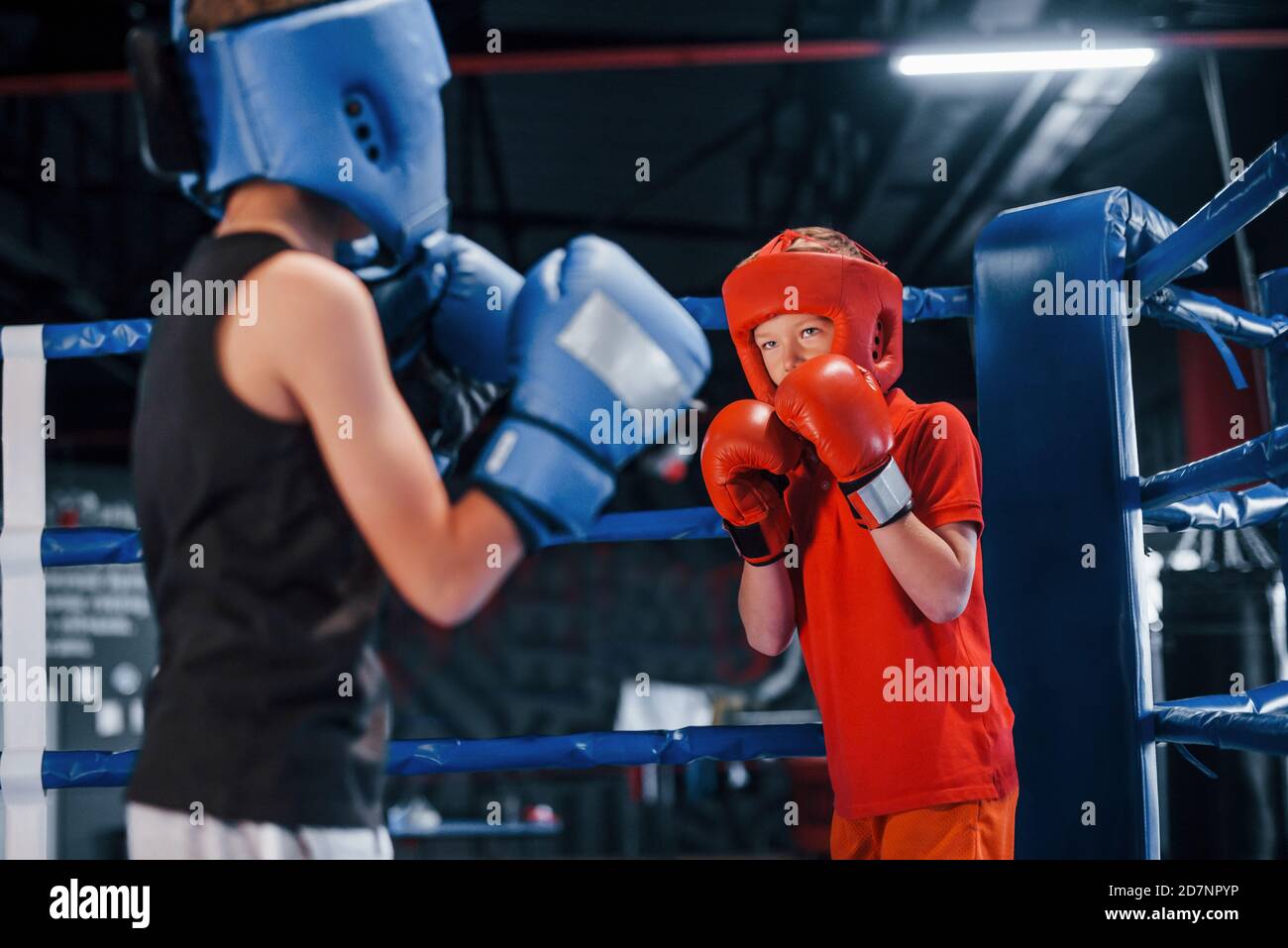 Two boys in protective equipment have sparring and fighting on the ...