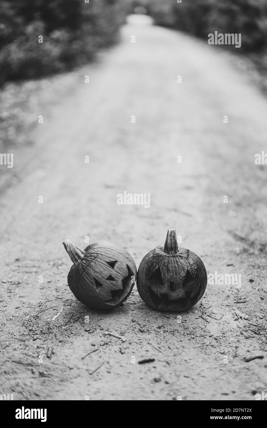 Grayscale closeup shot of carved pumpkins on the ground - the concept ...