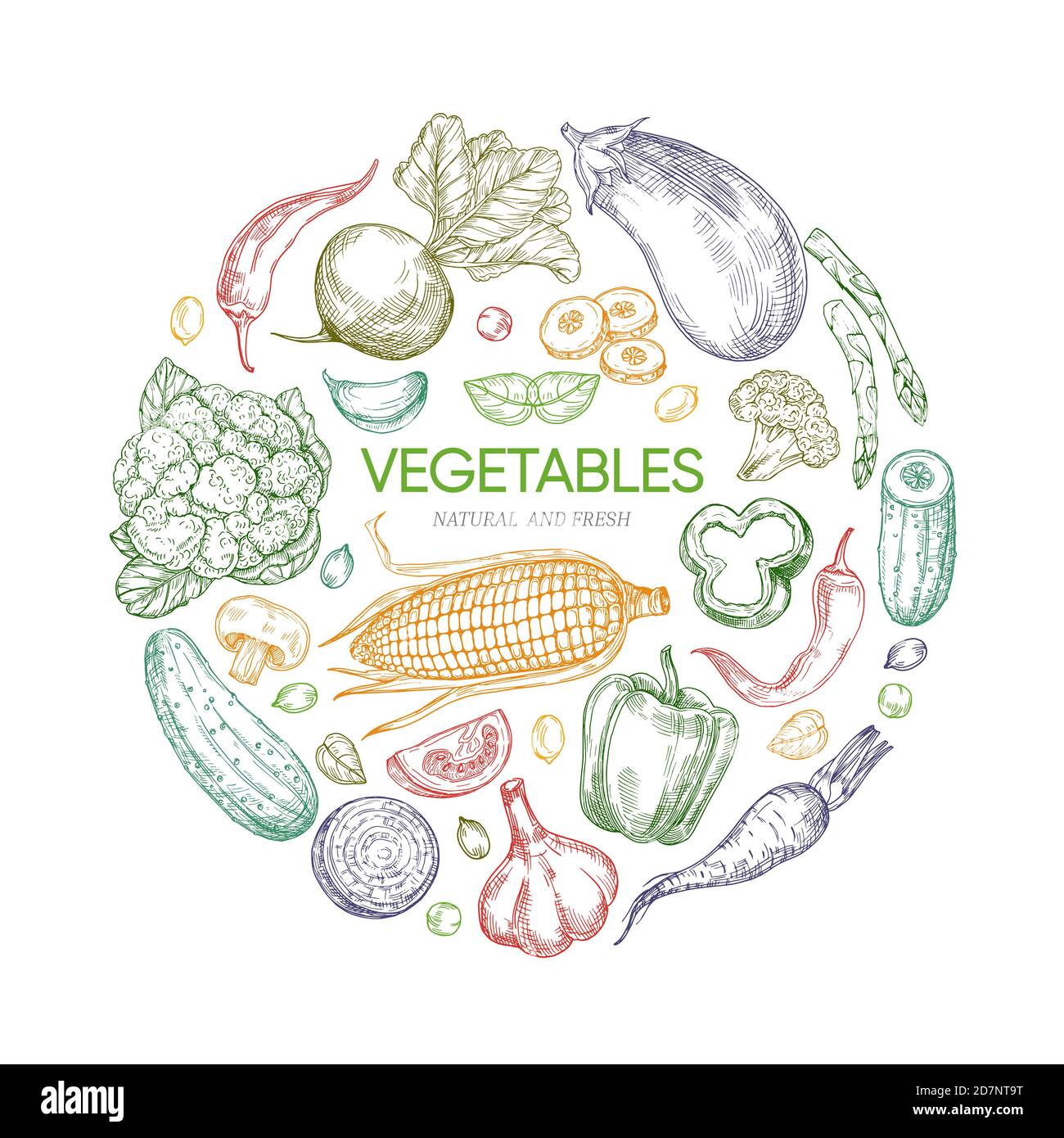 Fresh vegetables round banner vector design isolated. Illustration of ...