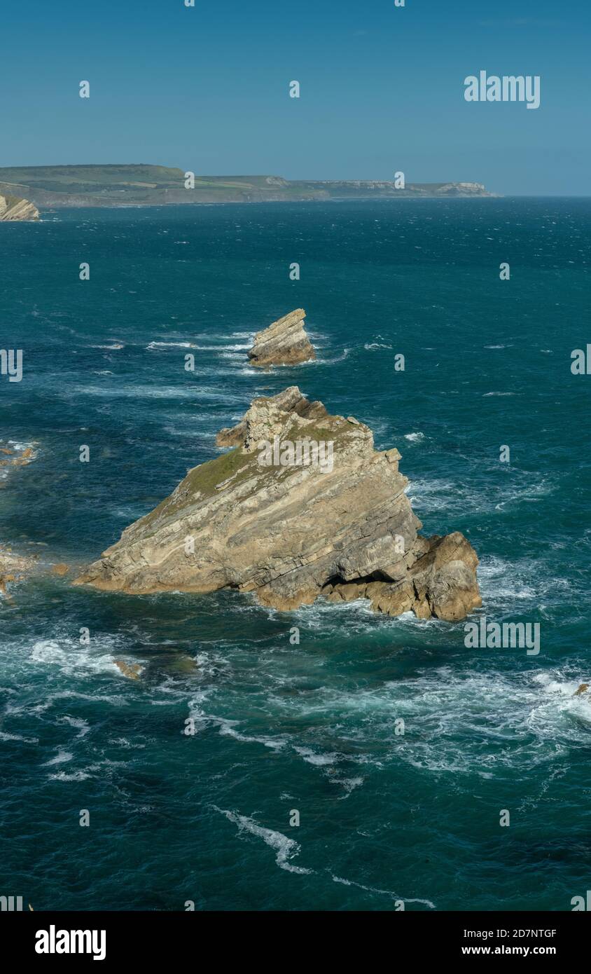 Mupe Bay and Mupe Rocks, looking east along the chalk cliffs to ...