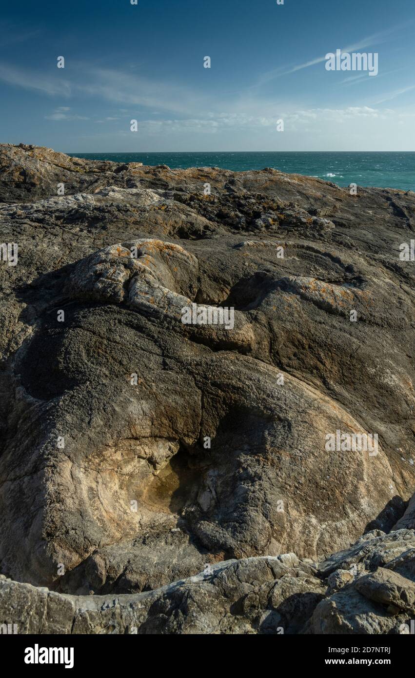 Cyanobacteria Fossil High Resolution Stock Photography and Images - Alamy