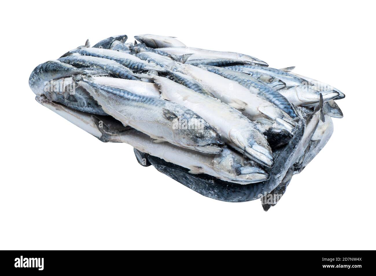 Frozen mackerel isolated. Frozen group of fish. Iced fish. Heap of ...