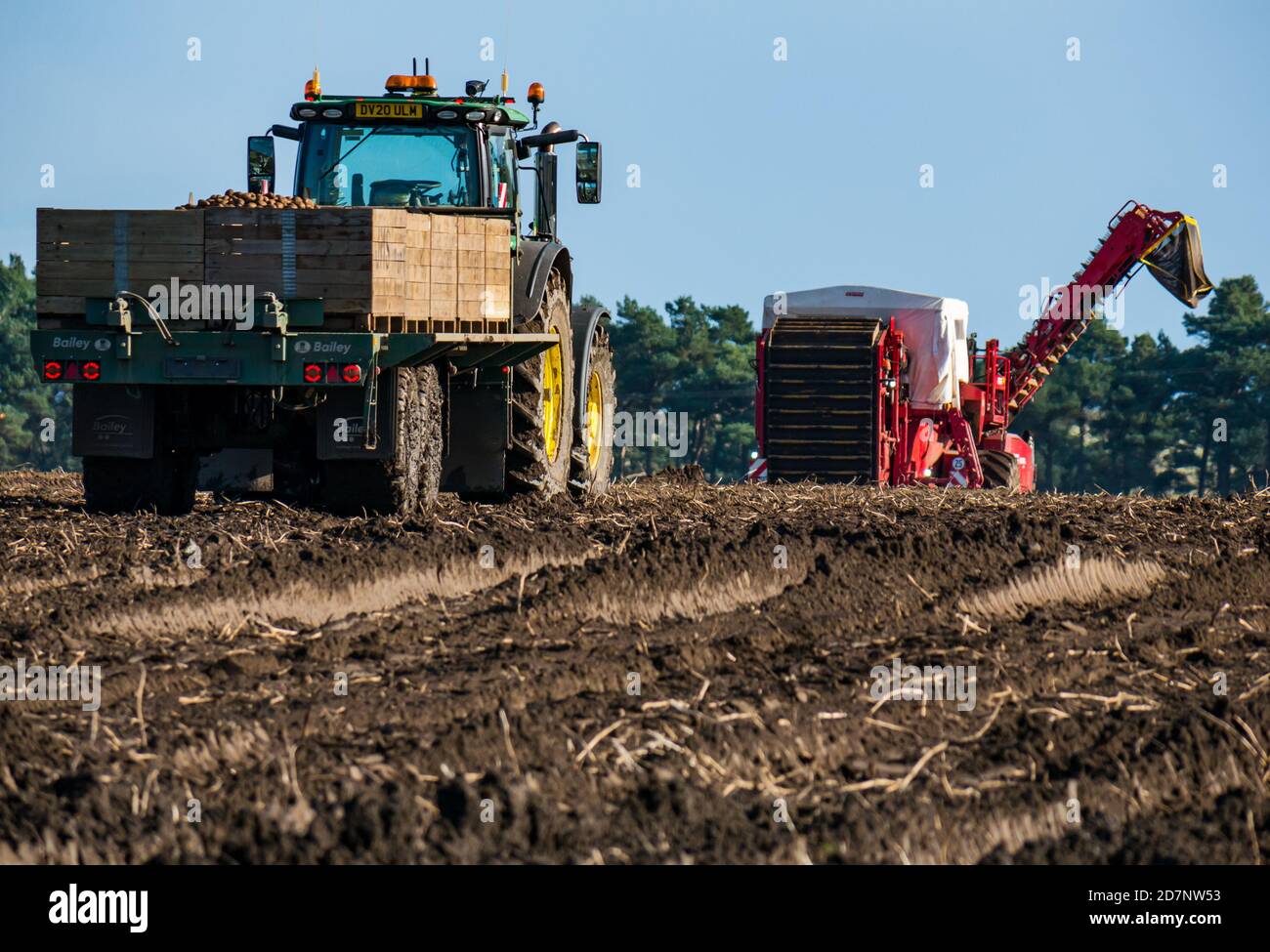 Harvesting work with tractor hi-res stock photography and images - Alamy