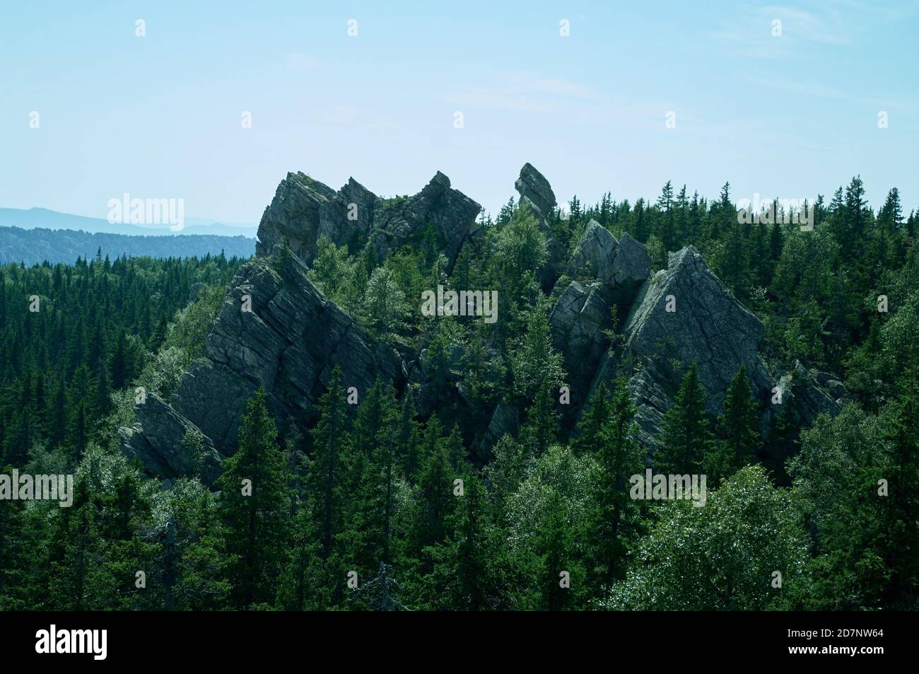 Rock ledge in the midst of coniferous forest Stock Photo - Alamy