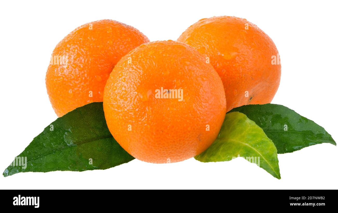 tangerine with leaf isolated on white background Stock Photo - Alamy