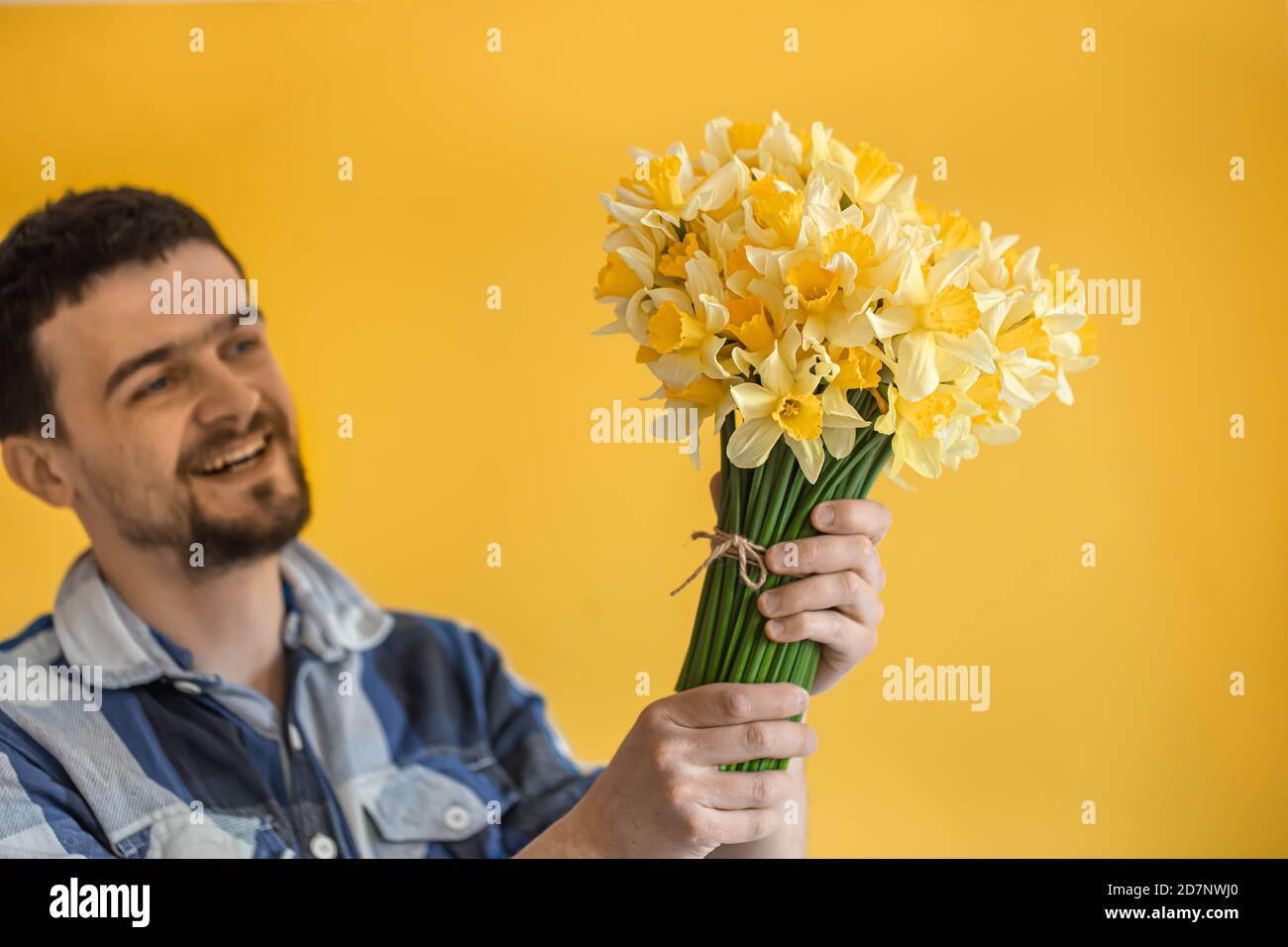 A young smiling man with a bouquet of daffodils on a colored background ...