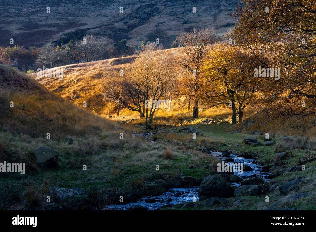 Greenfield brook hi-res stock photography and images - Alamy