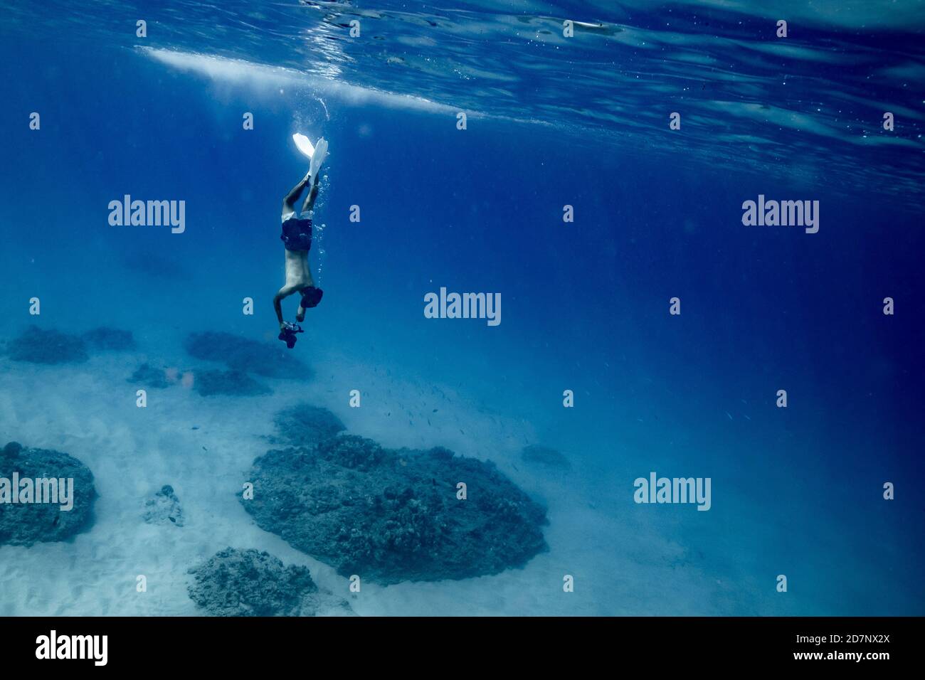 male ocean photographer holding breathe and diving deep to ocean floor ...