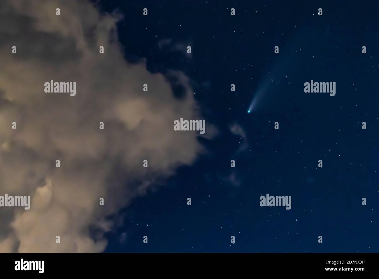 Comet Neowise in the night sky with cloud in Hawaii Stock Photo - Alamy