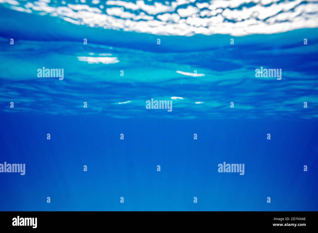 Beneath the ocean surface in blue waters of hawaii Stock Photo - Alamy