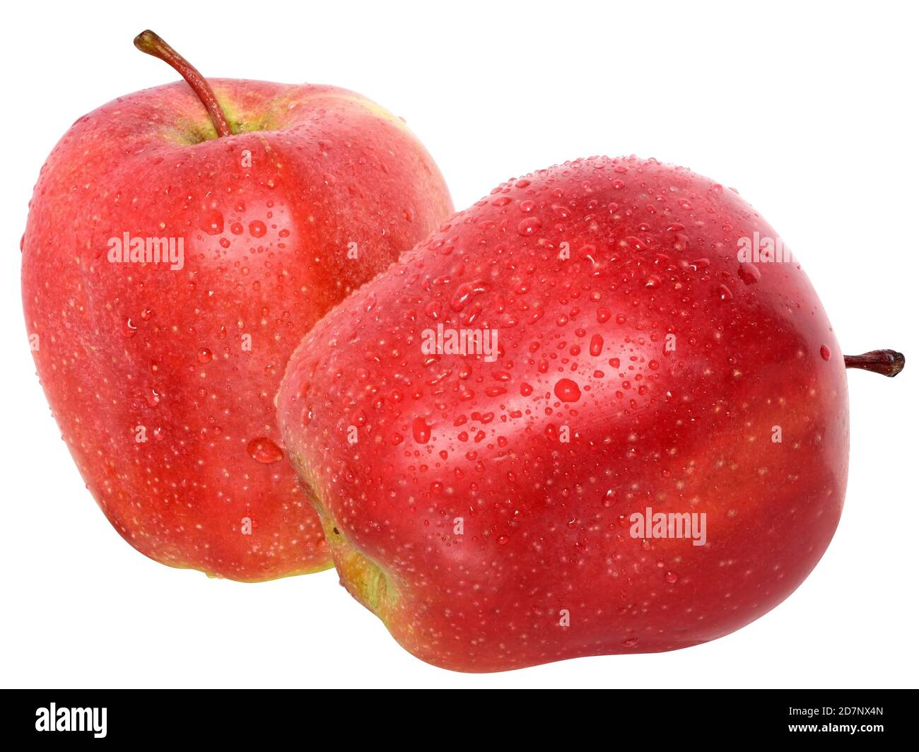 Red two apple on a white background Stock Photo - Alamy