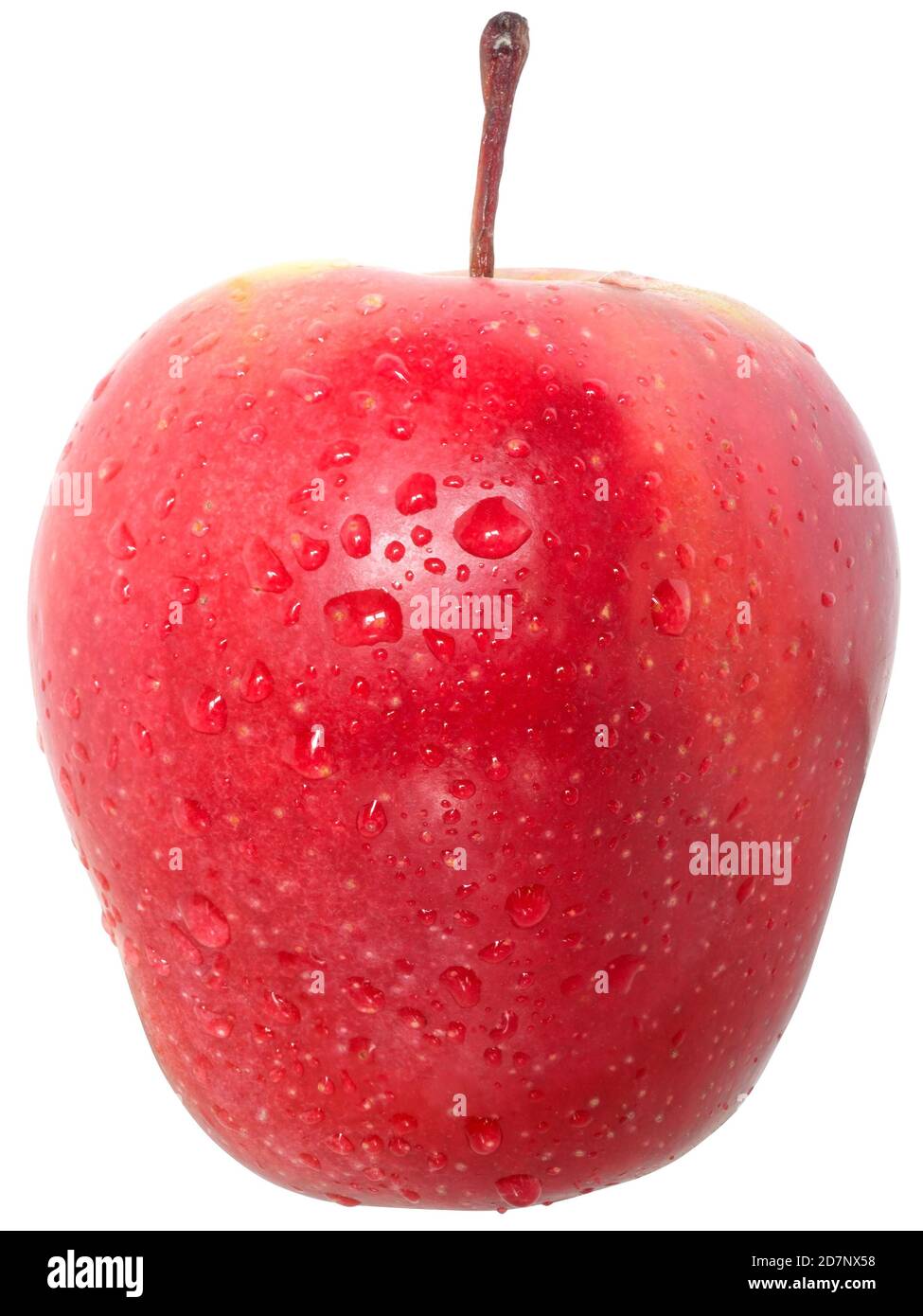 Red wet apple on a white background Stock Photo - Alamy
