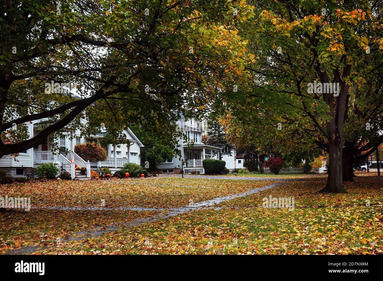 Quiet residential street on an overcast autumn morning Stock Photo - Alamy