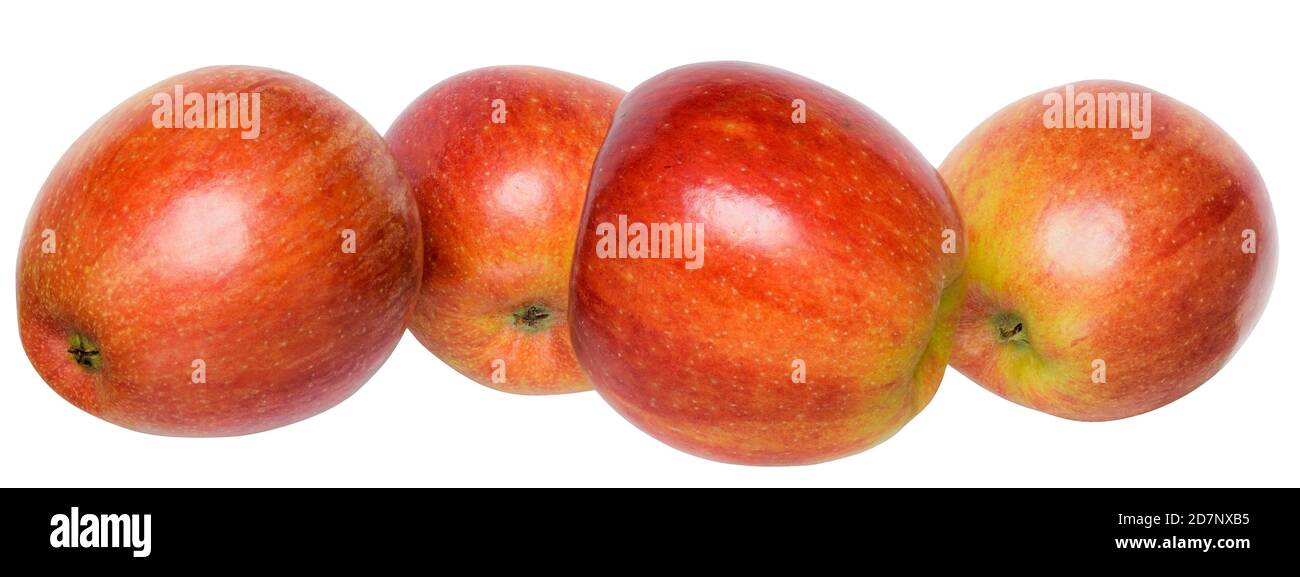 Red group apple isolated on a white background Stock Photo - Alamy