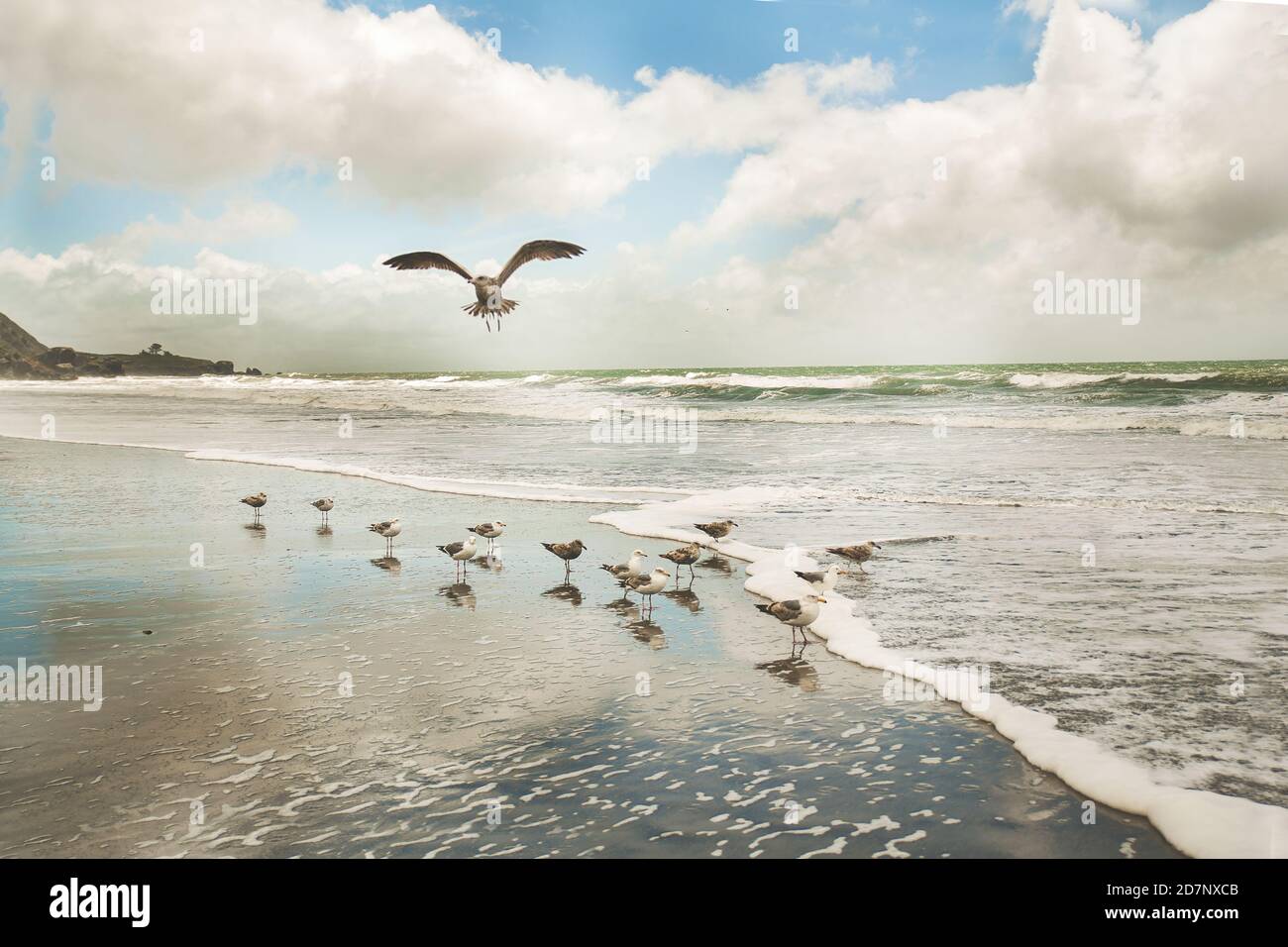 The hungry ocean hi-res stock photography and images - Alamy