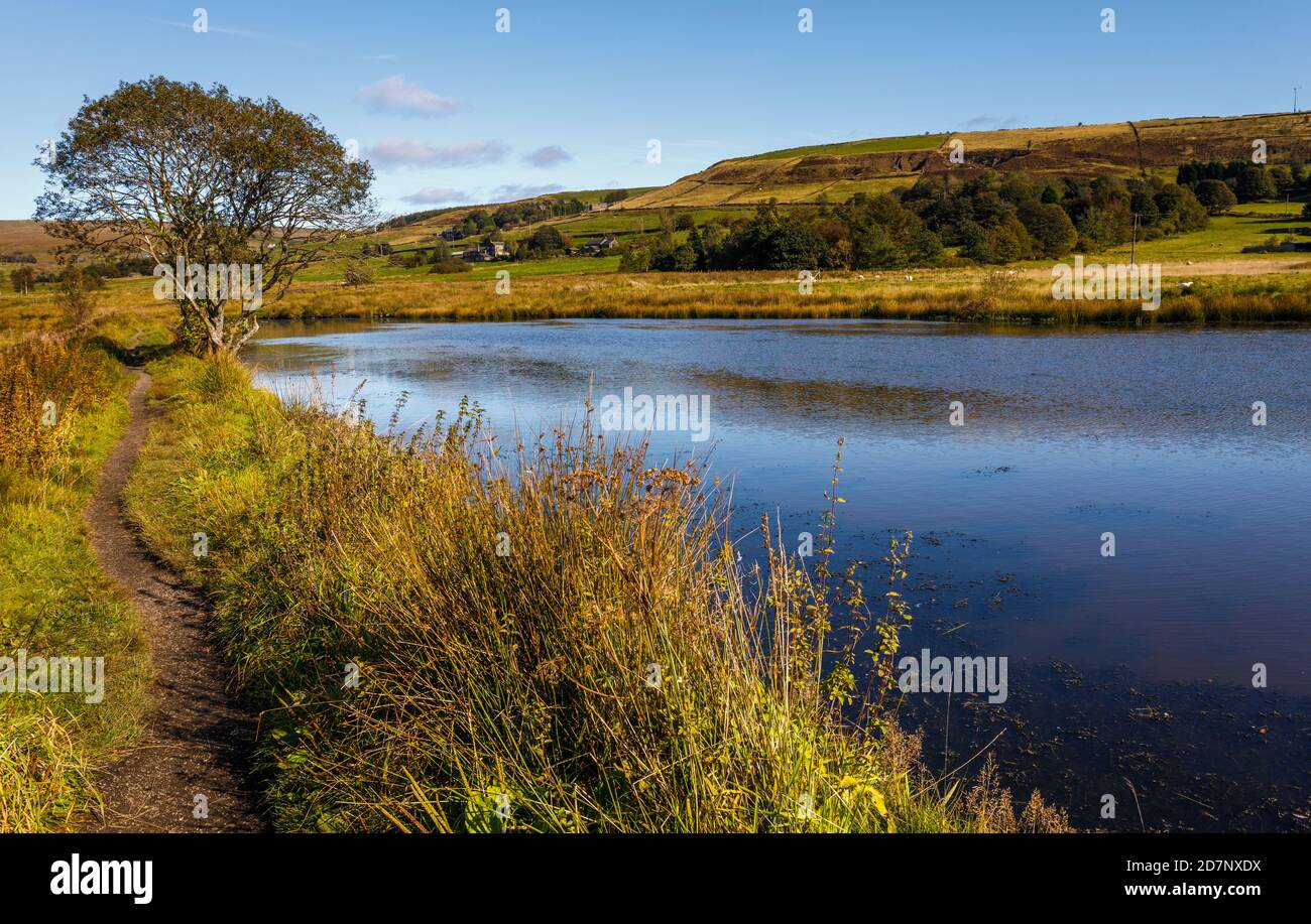 Blue sky landscape of Hull Mill pond at Delph, Saddleworth, with tree ...