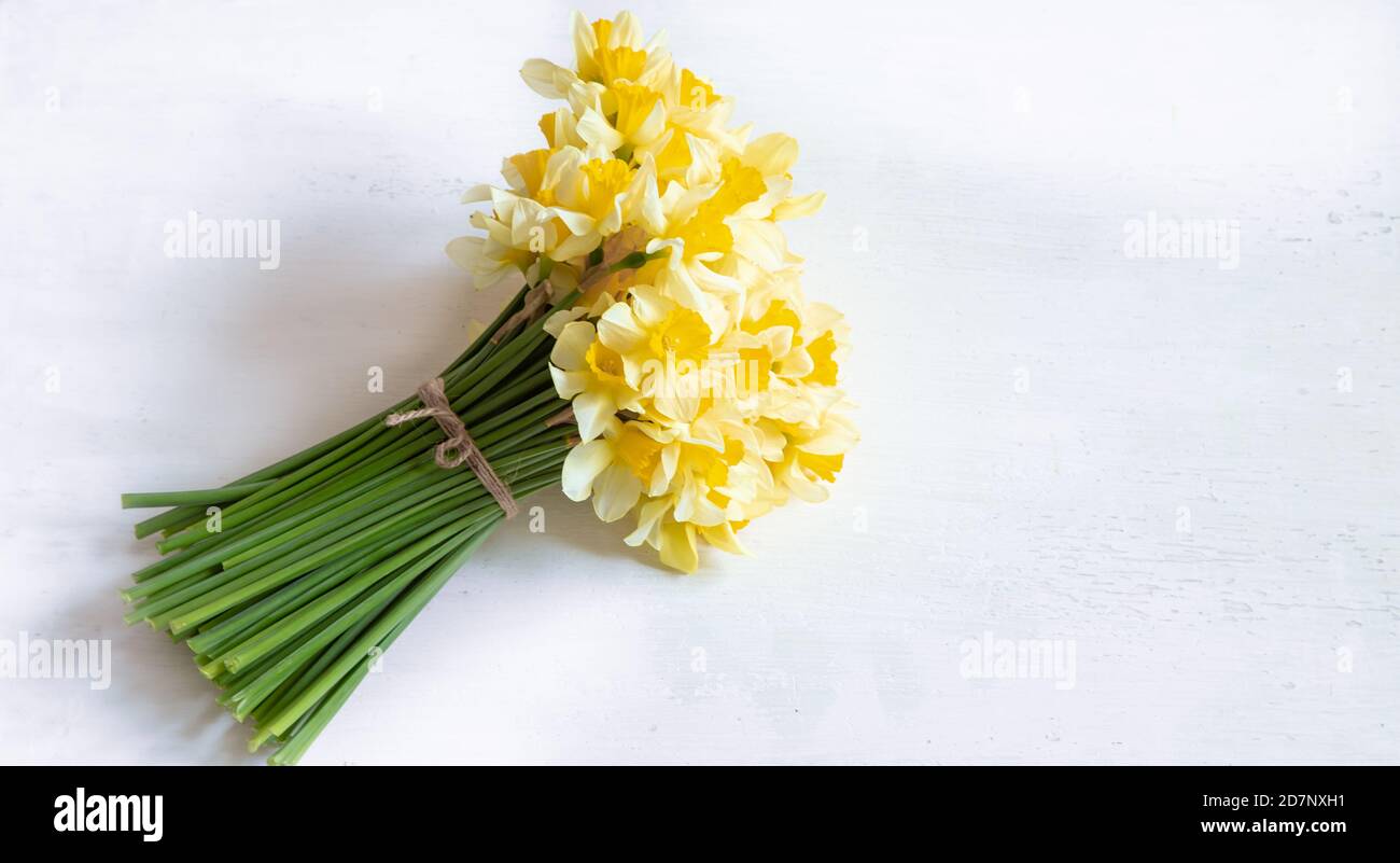Spring blooms, yellow daffodils on a light wooden background. Back ...