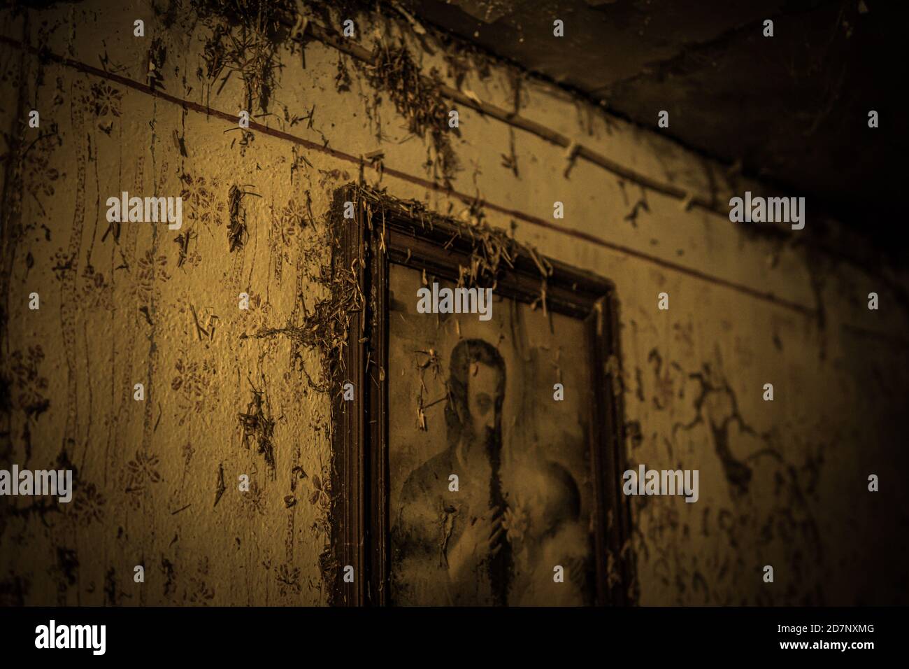 Urban exploring in an old abandoned farm house, a lost place with dirty ...