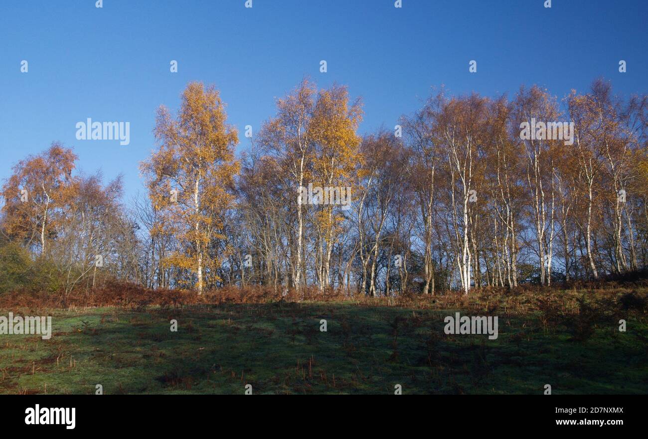 Newbourne hi-res stock photography and images - Alamy