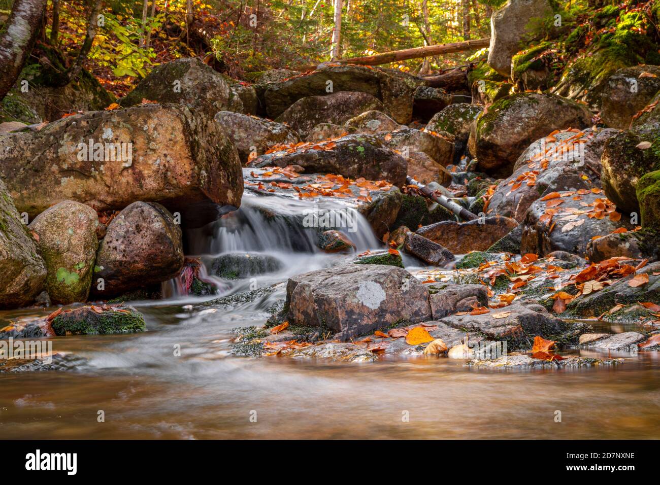 Autumn colors in new england autumn colors in nh hi-res stock ...