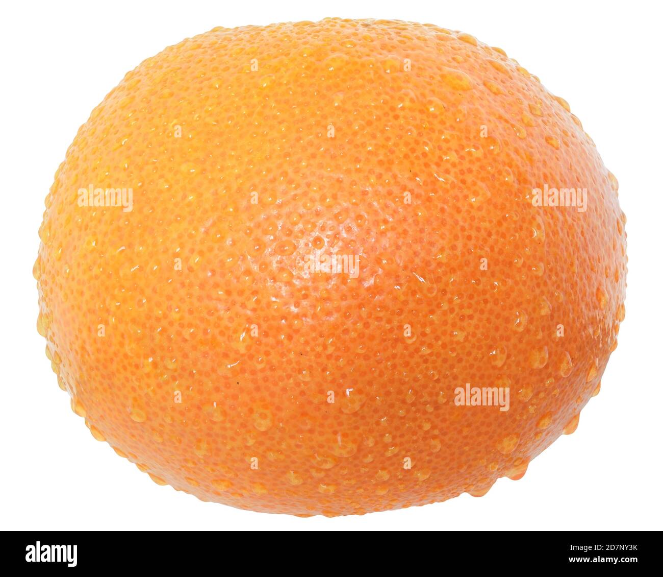 Full grapefruit isolated on white background Stock Photo - Alamy