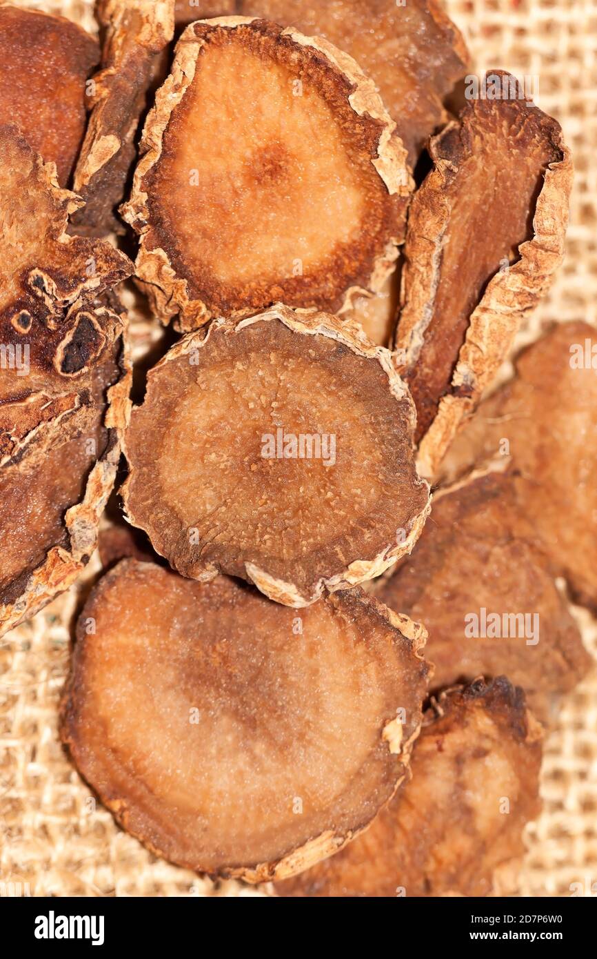 Devil's claw root hi-res stock photography and images - Alamy