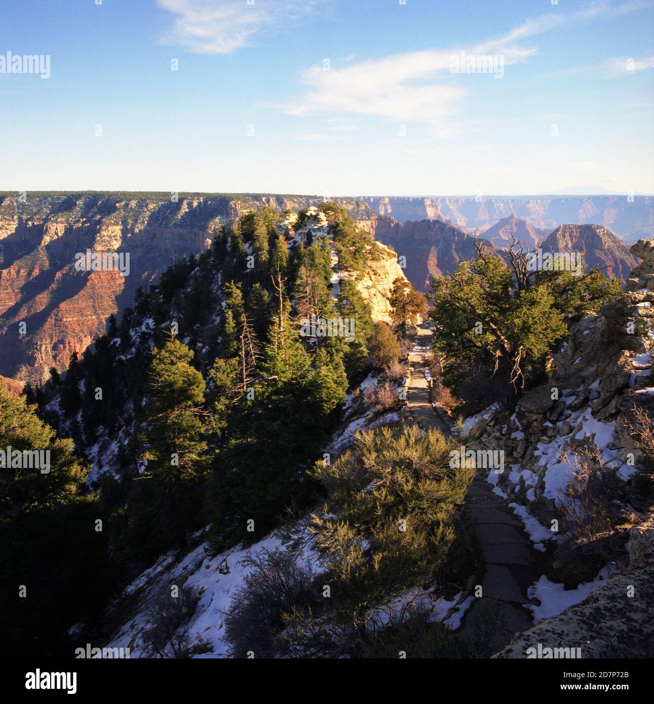 Sunset Views of the Grand Canyon from the North Rim Stock Photo - Alamy