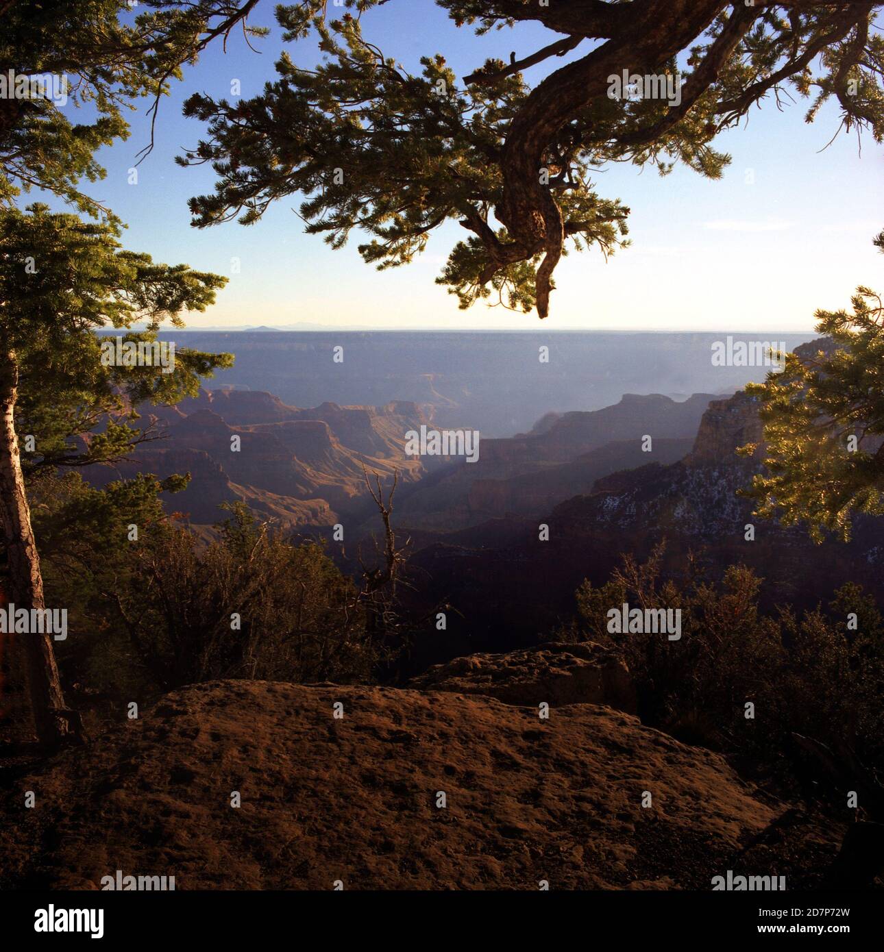 Sunset Views of the Grand Canyon from the North Rim Stock Photo - Alamy