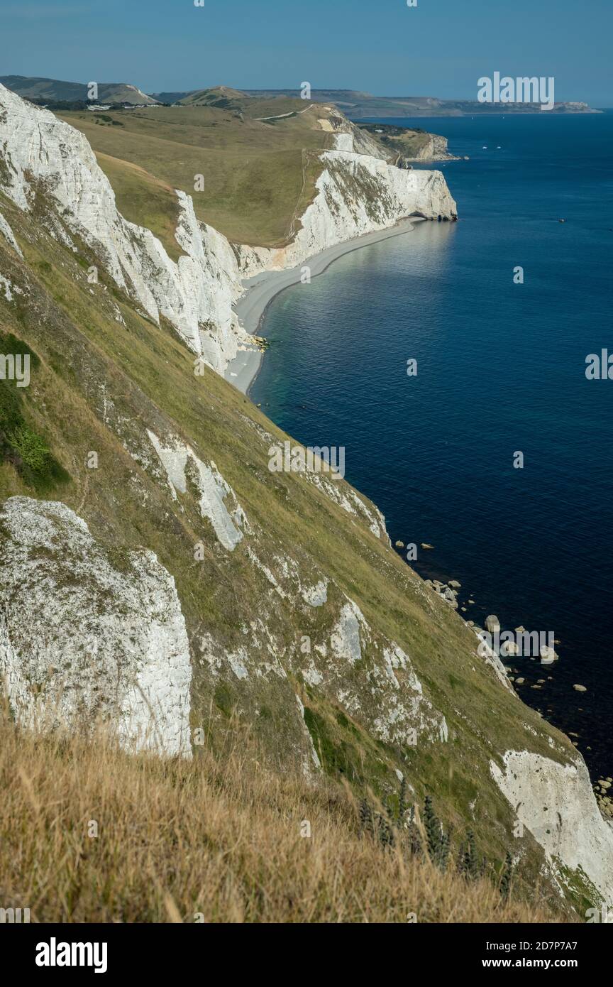 White chalk cliffs, looking east from White Nothe towards Swyre Head ...