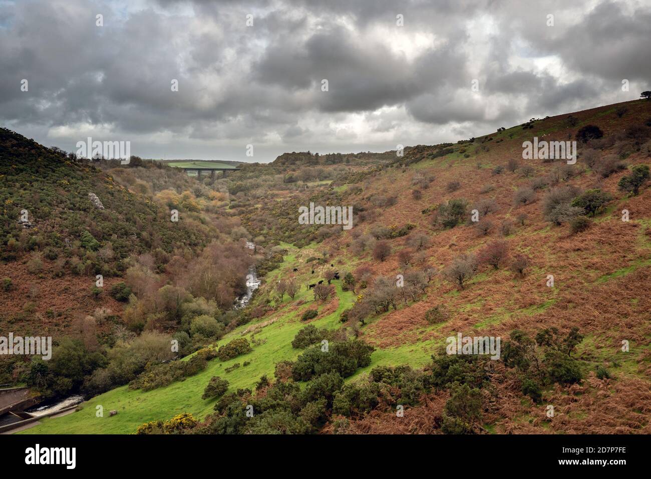 Meldon Reservoir in Devon Stock Photo - Alamy